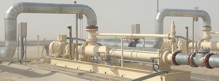 Progressing Cavity Pumps, Rotary Lobe Pumps, screw pumps and grinding ...