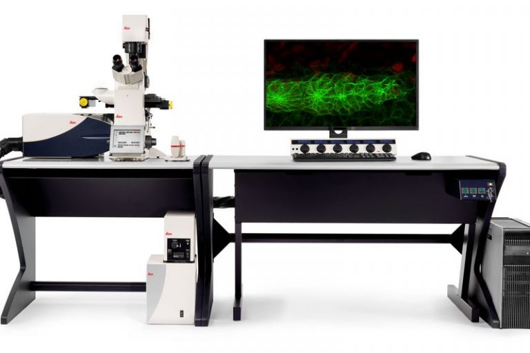 Leica Microsystems introduces its new SP8 LIGHTNING confocal microscope designed for high ...