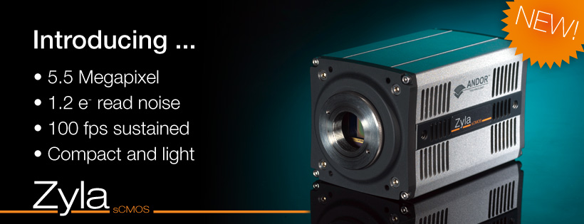 Zyla sCMOS camera offers high speed, high sensitivity imaging